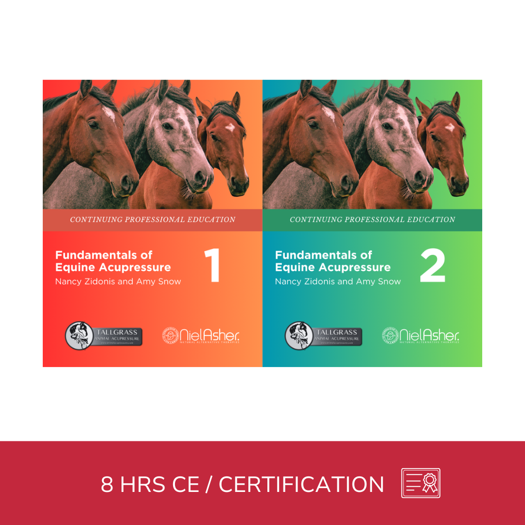 Fundamentals of Equine Acupressure (Bundle) | Niel Asher Education