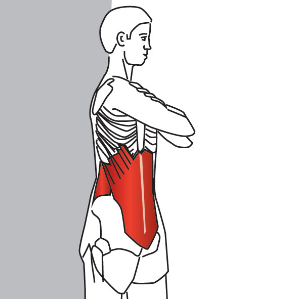 Standing Back Rotation Stretch | Back, Semispinalis Thoracis, Stretch ...