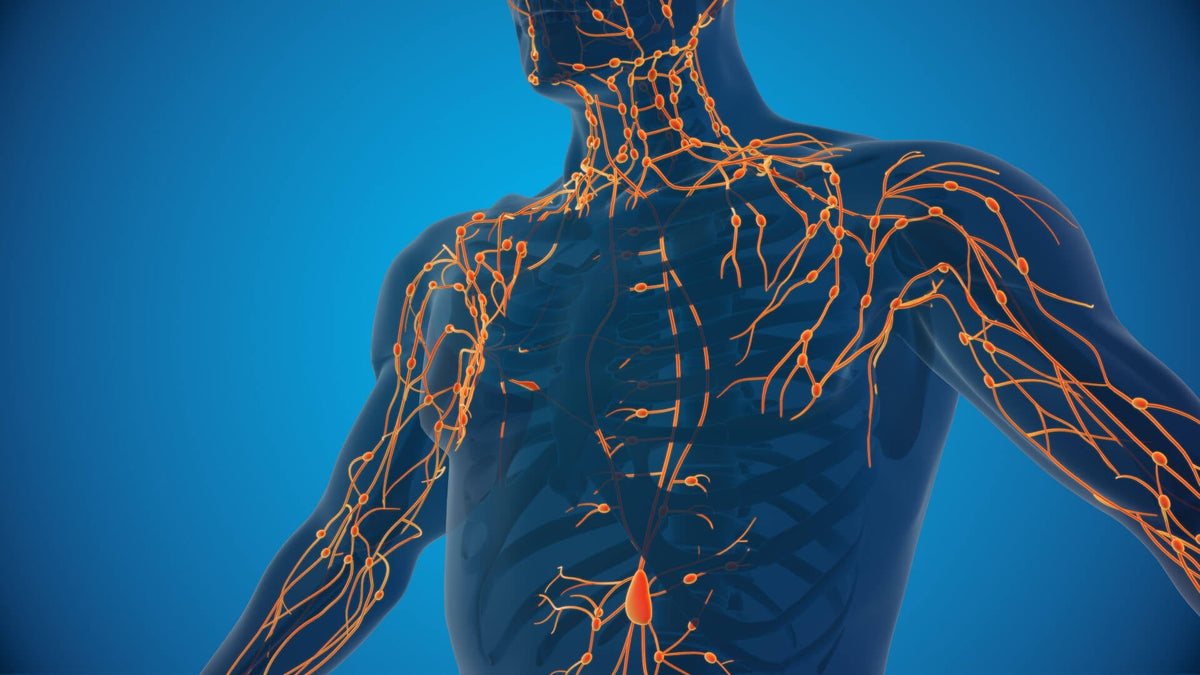 Neuropathic Lymphatic Treatments: Bridging the Nervous System and ...