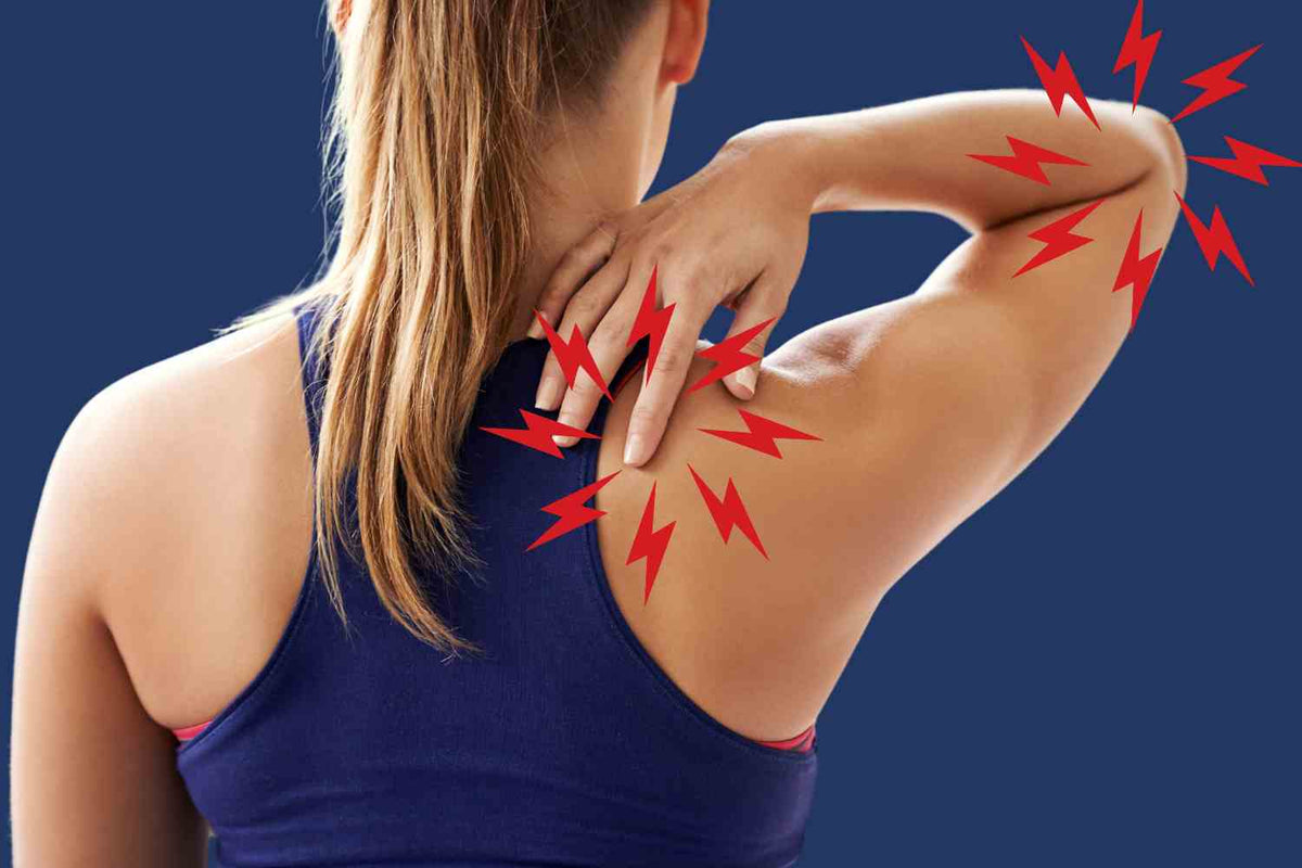 The Triceps Muscle: Function, Anatomy, and Trigger Points | Elbow ...