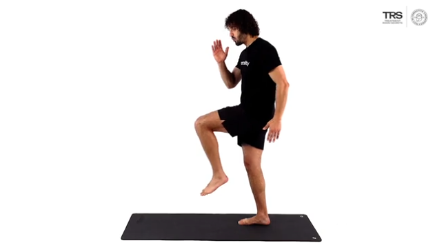 The Bounding Exercise | Core Muscles, Gastrocnemius, Gluteus Maximus ...