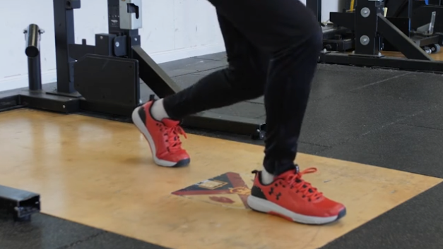 Front and Back Split Squat | Adductors, Biceps Femoris, Core Muscles ...