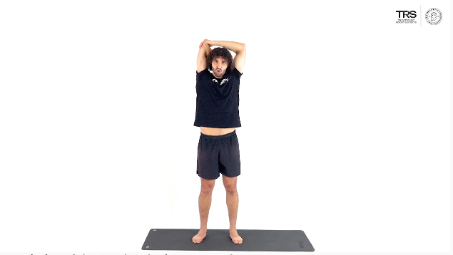 Overhead Triceps Stretch | Deltoid, Deltoids, Latissimus Dorsi and more ...