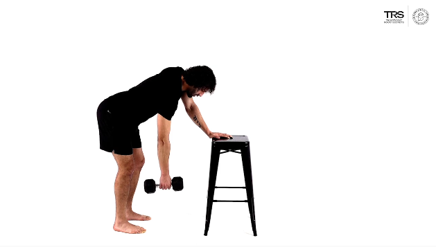 Single Arm Dumbbell Row | Biceps Brachii, Core Muscles, Forearm Muscles ...