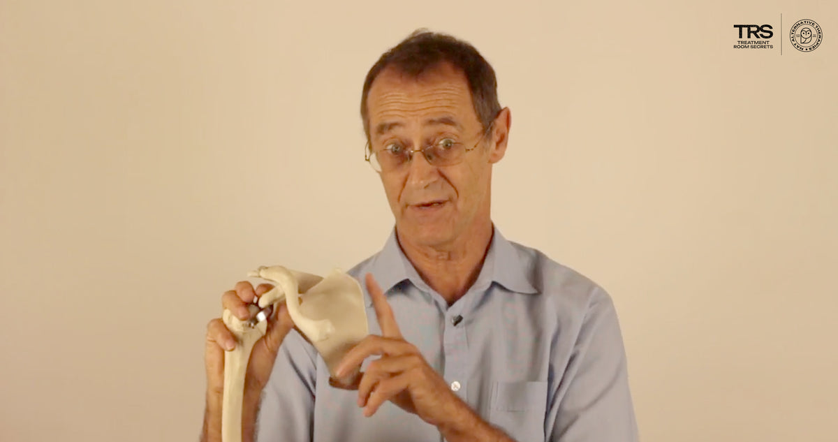 Shoulder Function and Anatomy: Understanding the Complex Dynamics of ...