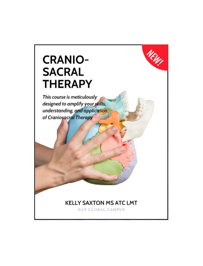 Integrative Cranio-Sacral Therapy (5.5 hrs) | Niel Asher Education