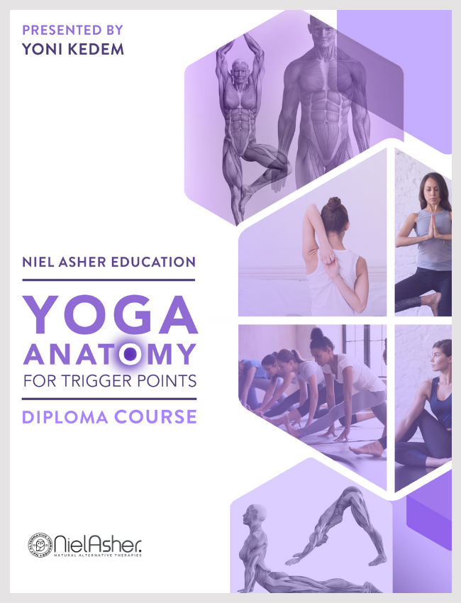 Yoga Anatomy for Trigger Points (4 hrs) | Niel Asher Education