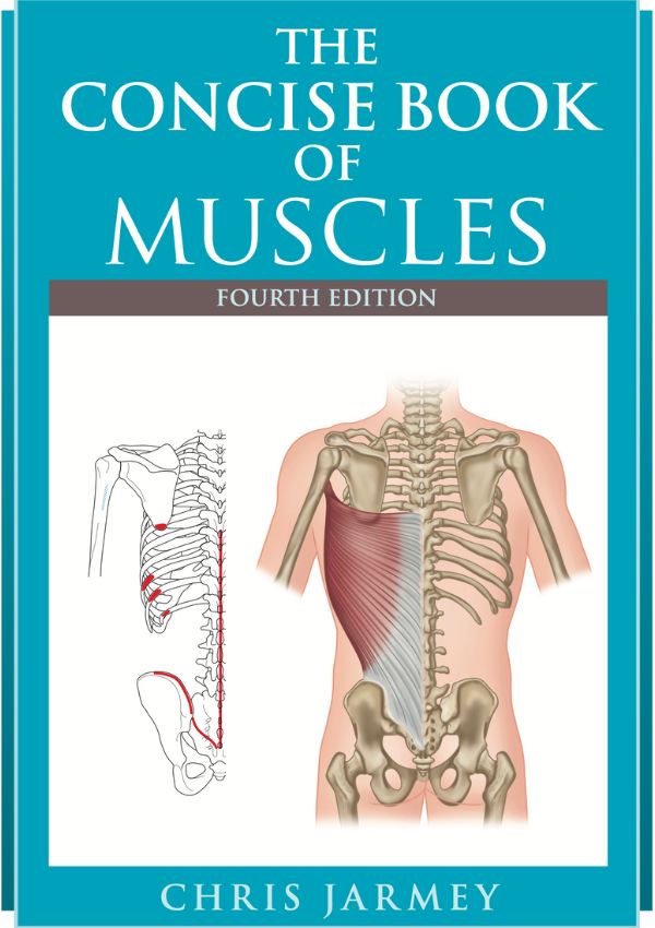 The Concise Book of Muscles | Niel Asher Education