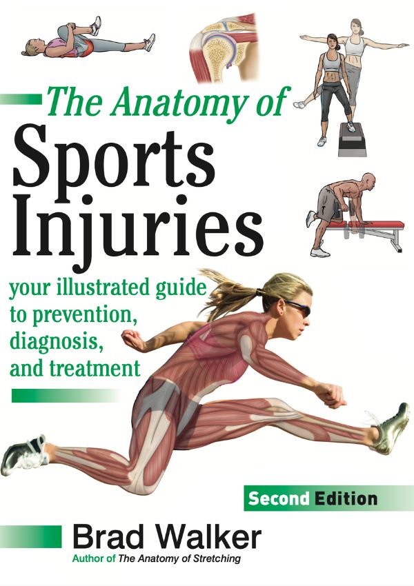 The Anatomy of Sports Injuries | Niel Asher Education
