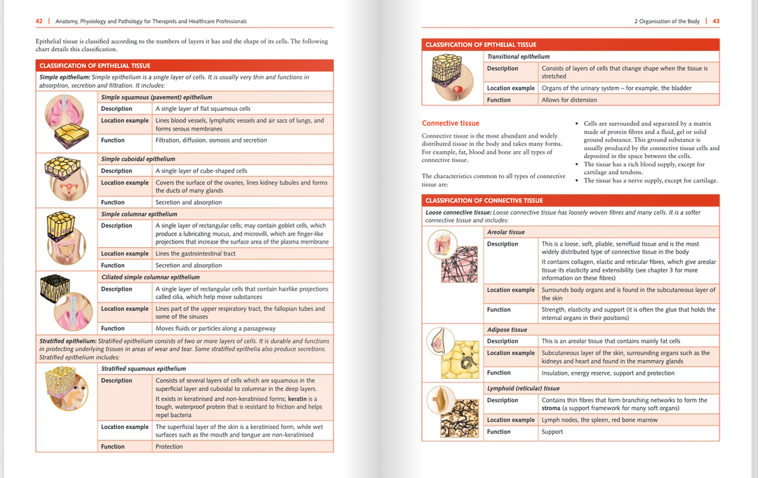 Anatomy, Physiology and Pathology | Niel Asher Education
