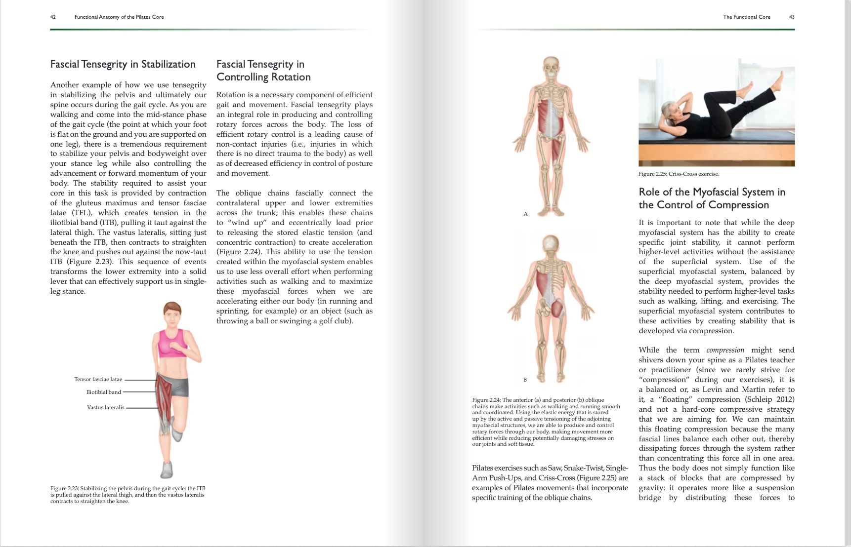 Functional Anatomy of the Pilates Core | Niel Asher Education